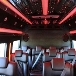 Limo Service in Houston