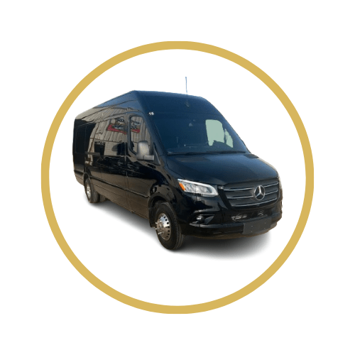 Our Fleet - Limo Service in Houston